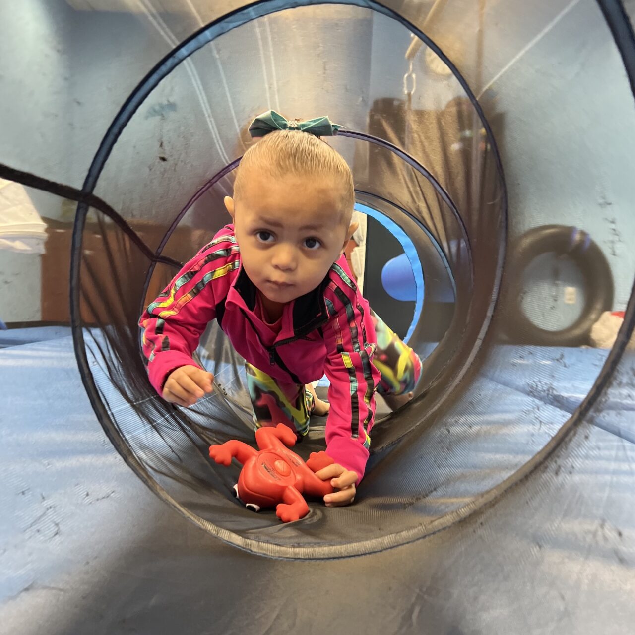 Contact | Occupational Therapy in Farmington Hills, MI